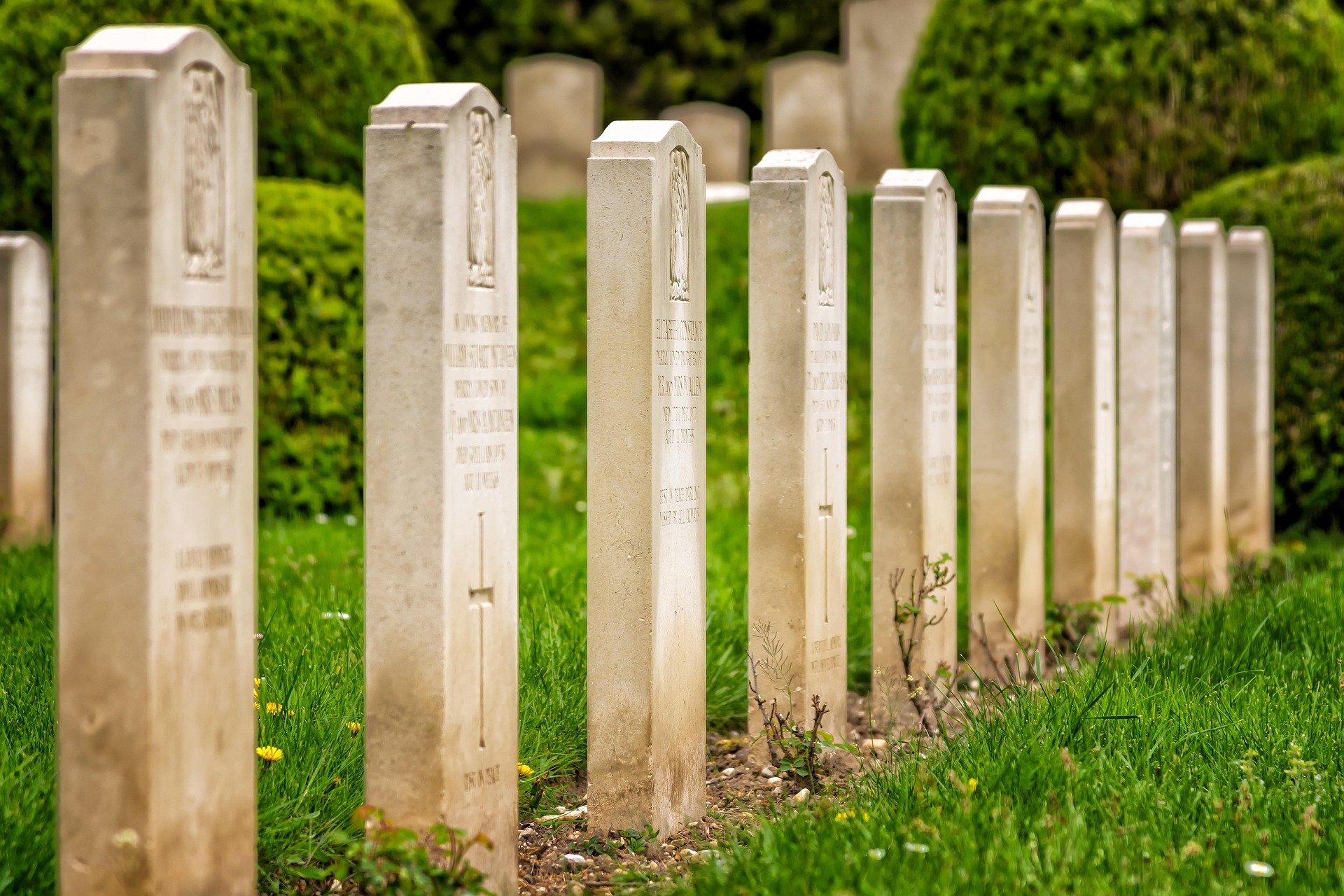 Top Financial Professionals for Final Expense Life Insurance, Burial ...